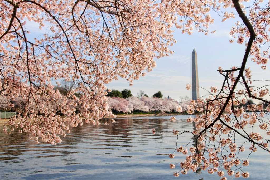 Travel Guide: Top US Destinations for a Spring Getaway | Global Nurse ...